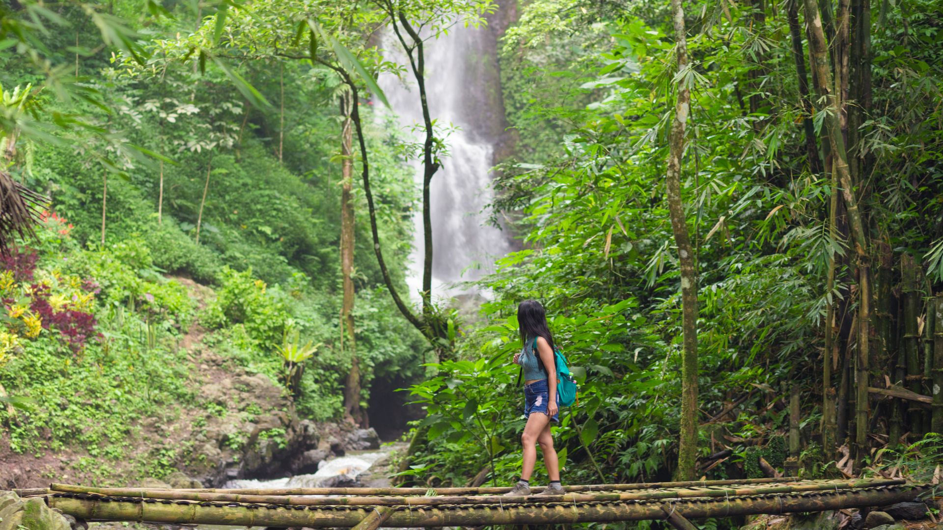 Ecotherapy - What Does Nature Do for You? - Penang Adventist Hospital